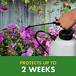 Spectracide Immunox Multi-Purpose Fungicide Spray Concentrate For Gardens 16 Ounces, Protects Up To 2 Weeks