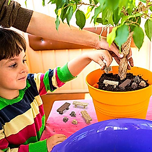 12 Pieces Miniature Fairy Garden Ornaments, Includes 6 Pieces Retro Wooden Style Benches, 6 Pieces Artificial Mini Root Stump for Moss Terrariums Landscape Dollhouse Accessories Decorations