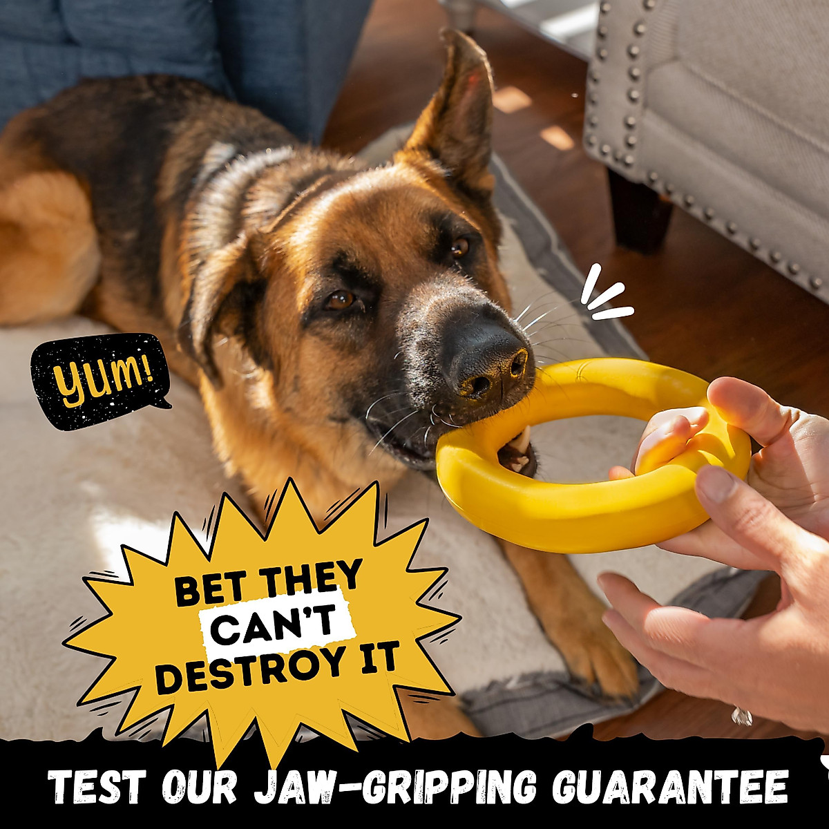 WoofBite "Indestructible Ring Dog Toy - Lifetime Replacement - Medium & Large Breed - Durable for Aggressive Chewers - Tough & Strong, Heavy Duty Natural Rubber - Fetch, Tug, & Chew - 6.5in.