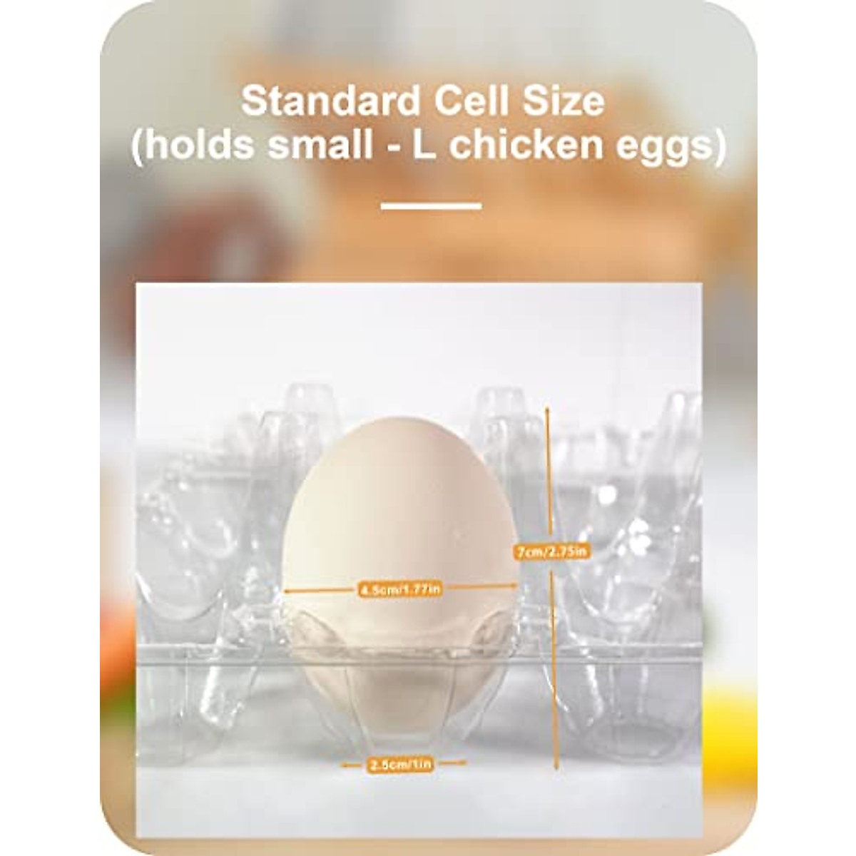Pintuson Egg Cartons Cheap Bulk 60 Pack - Holds 1 Dozen Clear Blank Egg Cartons for Chicken Eggs - Medium Plastic Egg Carton for Home Ranch Chicken Farm, Commercial Market Display (3x4 Grids)
