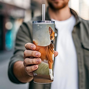 Basenji Dog Illustration Skinny Tumbler 20oz with Straw Insulated Water Bottle Gift