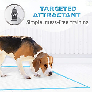 Four Paws Wee-Wee Washable Puppy Pad 30 X 32 Inches (1 Count)