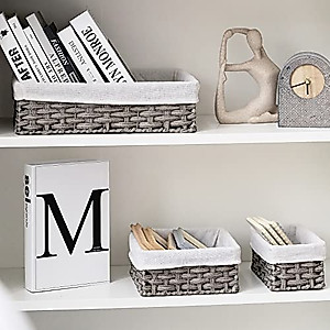 FairyHaus Wicker Baskets for Organizing 3 Pack, Waterproof Small Wicker Storage Basket for Shelves Rectangle, Nesting Lined Grey Wicker Basket