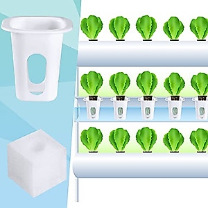 50 Sets of Hydroponic Garden Growing System Accessories Includes 50 Planting Baskets 50 Plant Growth Sponges Compatible with Most Hydroponic Garden Planting Systems