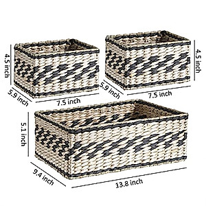 Water Hyacinth and Paper Handwoven Rectangle Basket (Assorted Set of 3, 1 Medium 13.8"x9.4"x5.1", 2 Small 7.5"x5.9"x4.5", Beige and Black)