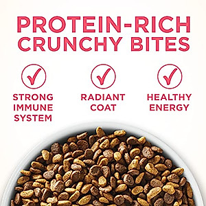 Purina ONE High Protein, Natural Dry Kitten Food, +Plus Healthy Kitten Formula - 3.5 lb. Bag