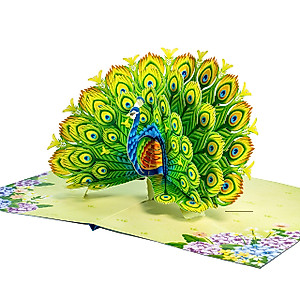 WOWPAPERART Peacock - 3D Pop Up Greeting Card For All Occasions - Love, Birthday, Christmas - Message Note for Personalized - Thick Envelope - 5x7 In