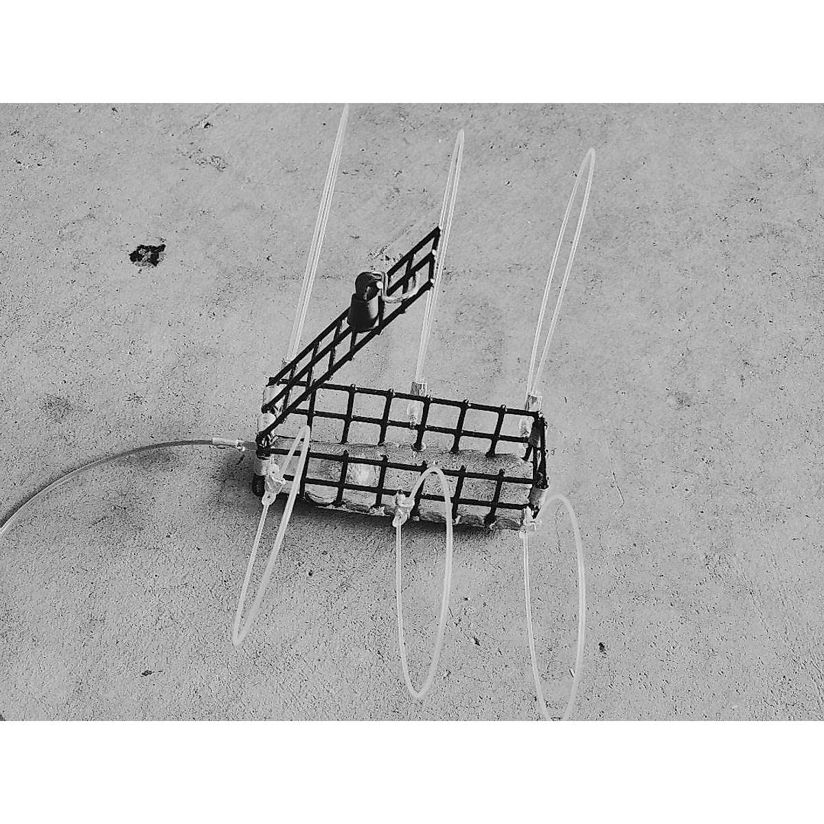 Webb Twinkie Snare 6-8oz Dragonfly loops