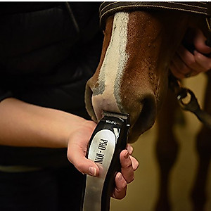 WAHL Professional Animal Pro Ion Equine Cordless Horse Clipper and Grooming Kit (#9705-100)