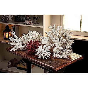 Abbott Collection 20-SEASHORE/40 Large White Flower Coral Decorative Resin Figurine