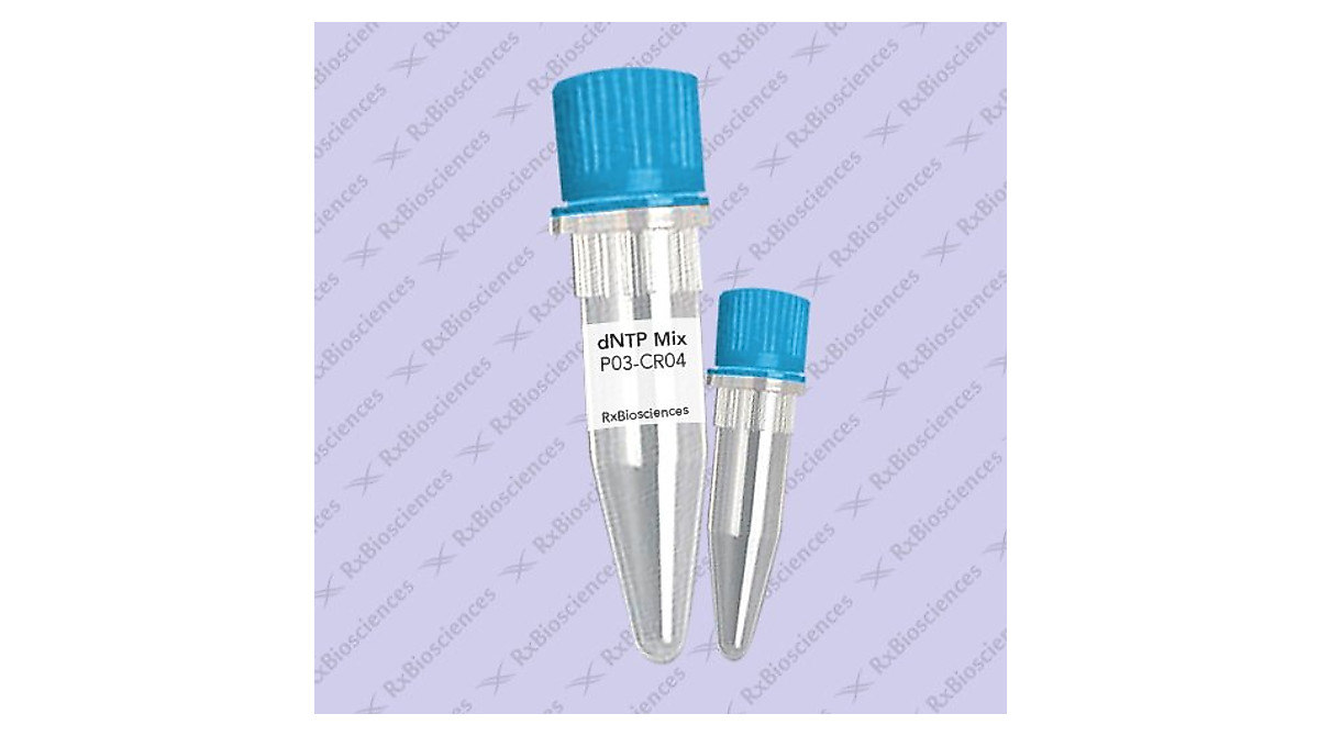 Buy dNTP Mix P03-CR04-10 – 10mM for PCR