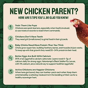 Hatortempt 5 lbs Non-GMO Dried Mealworms-High-Protein Mealworms for Wild Bird ,Chicken, Ducks,Fish,Reptile, Tortoise , Amphibian,Lizard