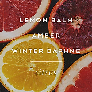 TOKYOMILK Radiant Gem Eau de Parfum, 1 fl. oz, 29.5 ml – Lemon Balm, Amber, Winter Daphne & Musk – Purity & Light Unearthed, Women’s Perfume, Eau de Parfum Spray for Women