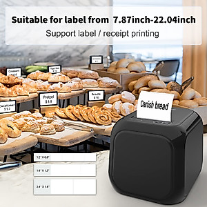 Label Maker Machine with Tape, CLABEL 220D Desktop Thermal Label Printer with USB Cabel,Support Windows, for Office Home