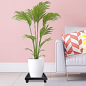 BAODAN Plant Caddy with Wheels, Plant Trolley, Plant Dolly Heavy Duty, Square Movable Plant Roller, Toughened Resin Plant Pallet Caster, 9.45x9.45x3.35in, Black