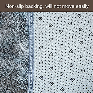 Soft Shaggy Area Rugs,Thicken Home Decor Carpets for Living Room Rectangle Area Carpet for Bedroom Modern Shag Carpets Washable-Orange 100x160cm(39.4x63)