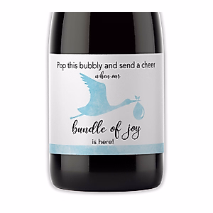BABY BOY Baby Shower Mini Champagne Labels - She’s About To POP Mini Champagne Bottle Labels ● SET of 12 ● Thank You for Celebrating with us - Blue Stork Bundle of Joy Favors WATERPROOF M101-STORK-12