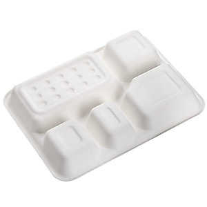 Hacaroa 50 Pack 5-Compartment Compostable Paper Plates, Natural Disposable Bagasse Plates School Lunch Trays, Rectangular Divided Plates for Party, Picnic, Eco-Friendly, Biodegradable, White