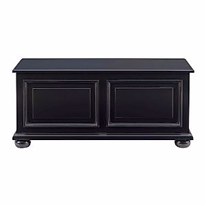 Linon Chadwick Classic Cedar Lined Chest Raised Panels Bun Feet in Black