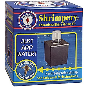 San Francisco Bay Brand Shrimpery Brine Shrimp Kit for Hatching Baby Brine Shrimp