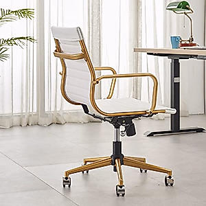 Hioryllks White Gold Office Chair White Gold Office Desk Chair Modern Office Chair Ergonomic Cute Desk Chair (3011 Gold White)