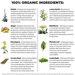 Organic Breathe Tea 4 oz. (113g), USDA Certified Organic Lung Tea, Bronchial Wellness Tea, Smokers Tea, Respiratory Tea, Gordo Lobo Herbs Tea, Mullein Detox Lungs Tea Organic