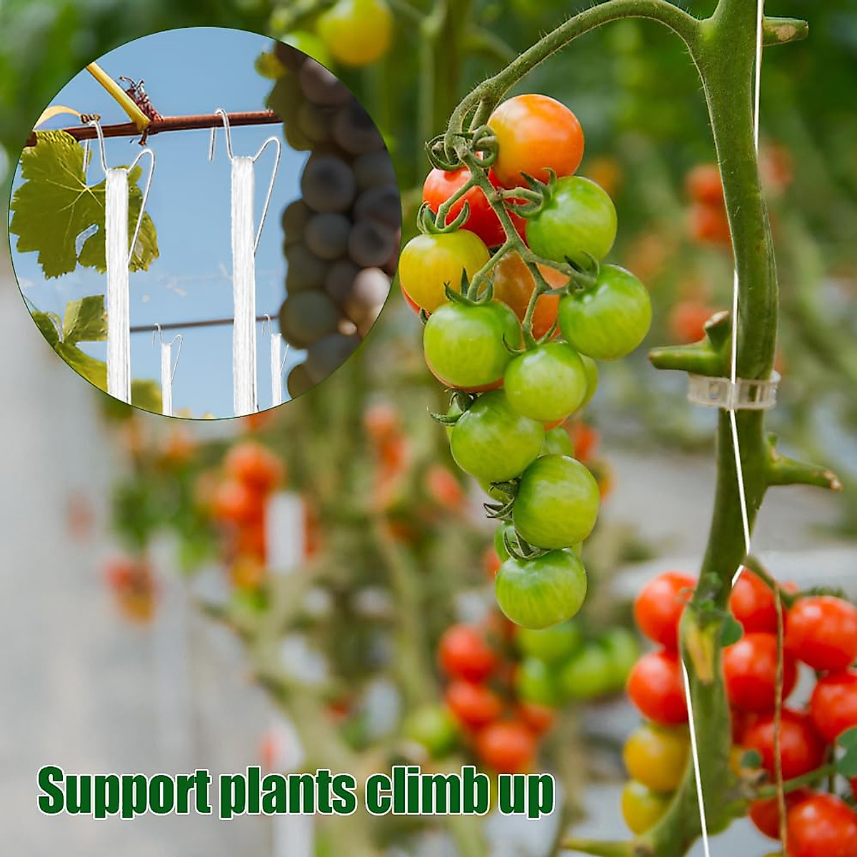 130Pcs Tomato Hooks with String,Plant Support Clips,Tomato Support Hook for Climbing Plants,Tomato Holder Hooks with 32.8ft Twine to Prevent Vegetable Fruit from Pinching or Falling Off