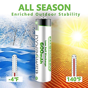 Dynpower NiMH AAA 600mAh Rechargeable Batteries 1.2V,Pre-Charged Triple A for Outdoor Solar Lights Garden Light and Household Devices, (Pack of 12)