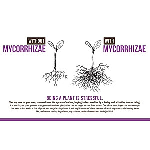 Houseplant Superfood and Fertilizer | Makes 4 Gallons | Organic Premium Concentrate | Easy Use 3oz (1 Shaker)