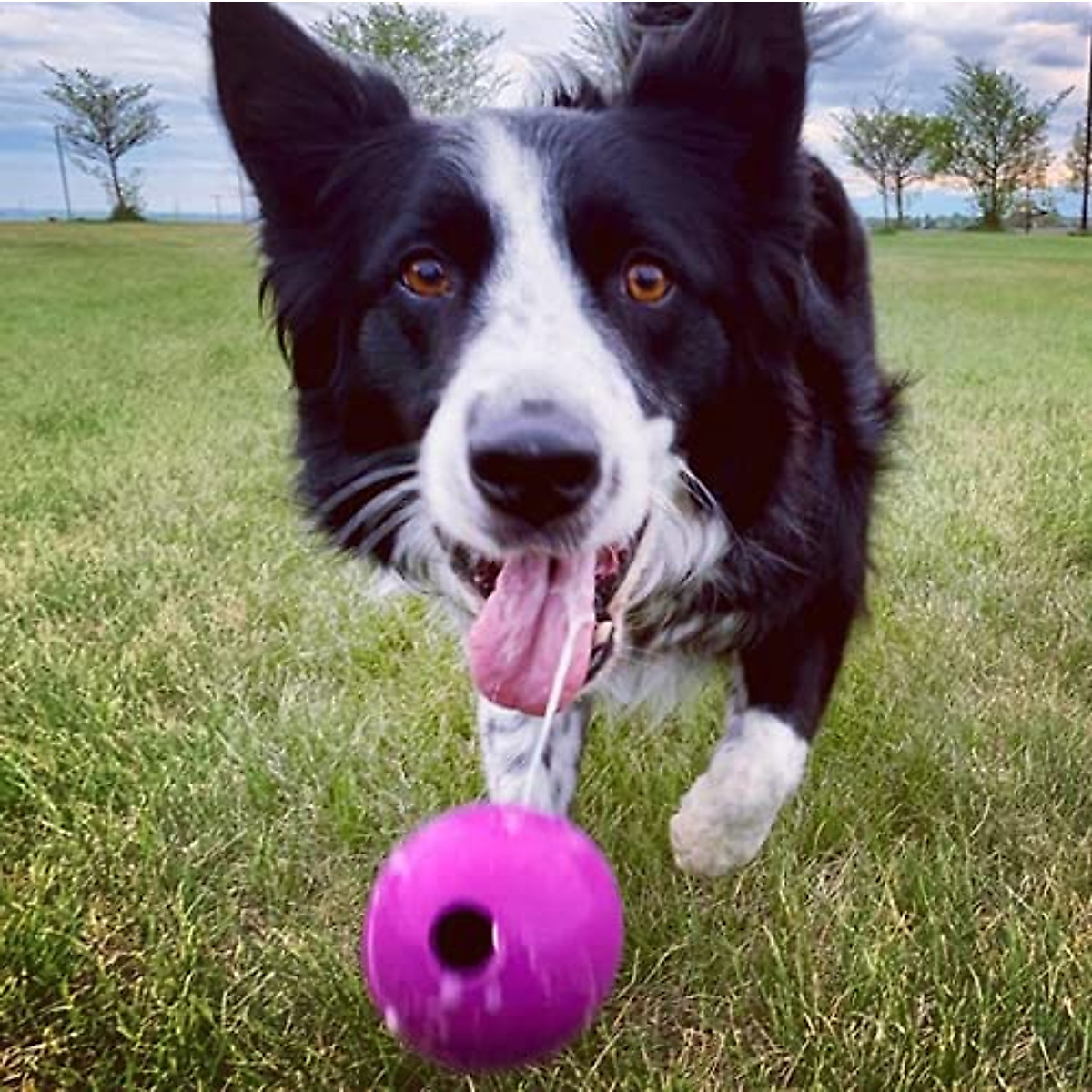 Chew King Fetch Balls Extremely Durable Natural Rubber Toy 3 inch Balls - Pack of 3 (CM-0263-CS01)