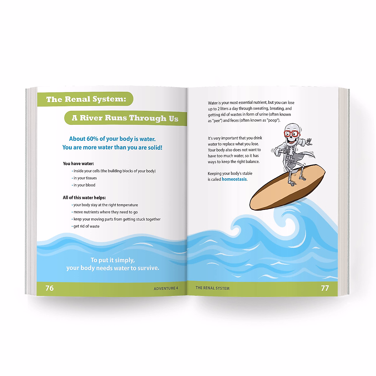 The Renal System: You've got to be Kidney - Adventure 4 (Systems of the Body)