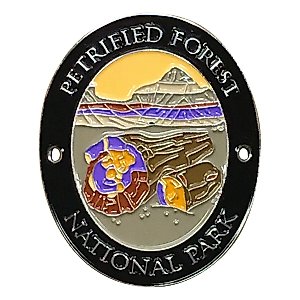 Petrified Forest National Park Walking Hiking Stick Medallion - Arizona