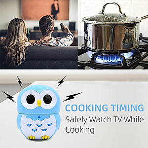 Dolovemk Kitchen Timer,Analog Timer,60 Minute Wind Up Timer Egg Timer-Loud Ring Timers,No Batteries Required 100% Mechanical (Owl)