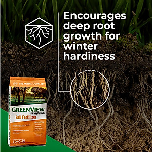 Greenview Fairway Formula Fall Lawn Fertilizer - 22.5 lb. Bag - Covers 7,500 Sq. Ft.