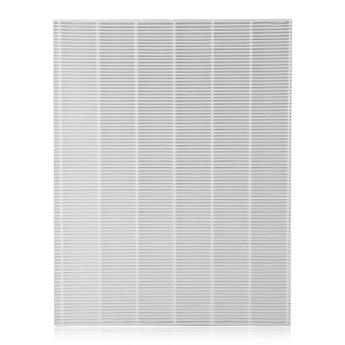 Colorfullife 2 Pack True HEPA 115115 Size 21 Filter A for Winix PlasmaWave 5300-2, C535, P300, 6300-2, 5300, 9000 Air Purifier