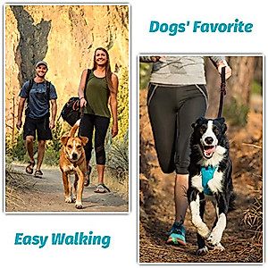 FAIRWIN Braided Leather Dog Training Leash 6 Foot - 5.6 Foot Military Grade Heavy Duty Dog Leash for Large Medium Small Dogs (M:5/8" x5.6ft, Brown) 004