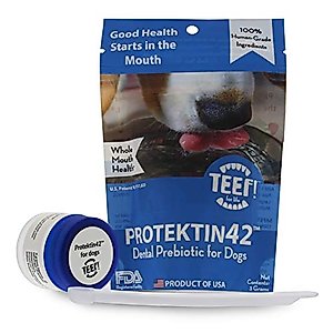TEEF! Daily Dental Care – Natural Dog Dental Water Additive, 30 Day Supply – Award Winning Formula Fights Plaque and Tartar – No Brushing, Add to Water Bowl – Say Hello to Healthier Gums