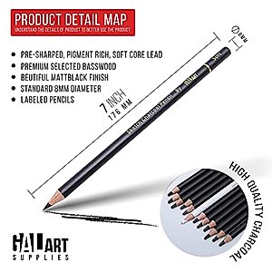 Galart Supplies Charcoal Drawing Set – 12 Pieces Pre-Sharped Soft, Medium, Hard and White Charcoal Pencils for Drawing with Organizer Tray, Shading and Sketching for Artists and Beginners