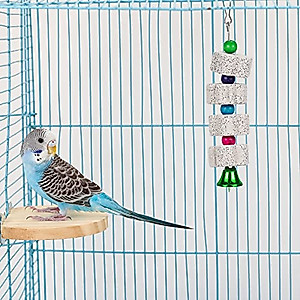 Coconut Bird Nest Coco Bird Hide Shell with Ladder,Parrot Hanging House Cage with Bird Perch Cage Accessories Exercise Toy Habitats for Parrot Parakeet Finch Lovebird and Small Animals (H01)