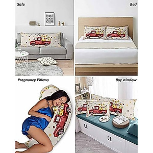 Edwiinsa Summer Truck Pillow Covers Standard Size Set of 2 20x26 Bed Pillow, Ladybug Spring Floral Rustic Plush Soft Comfort for Hair/Skin Cooling Pillowcases with Envelop Closure