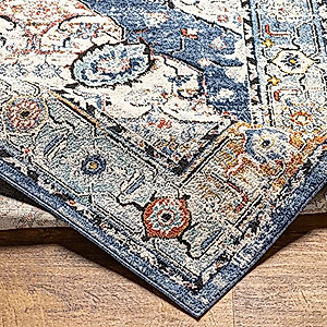 SURYA Ella Traditional Medallion Area Rug,6'7" x 9',Blue