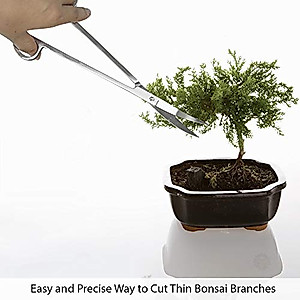 SunGrow Aquarium, Hermit Crab & Gecko Tank Tool Kit, Includes Straight & Curved Scissors, Substrate Spatula, Straight & Bent Tweezers, Stainless Steel, 5 Pcs per Pack