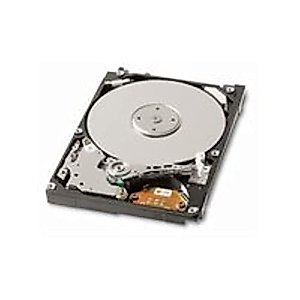 Toshiba MK3276GSX 320 GB Internal Hard Drive (MK3276GSX)