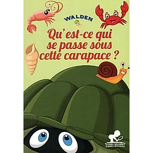 Qu’est-ce qui se passe sous cette carapace ?