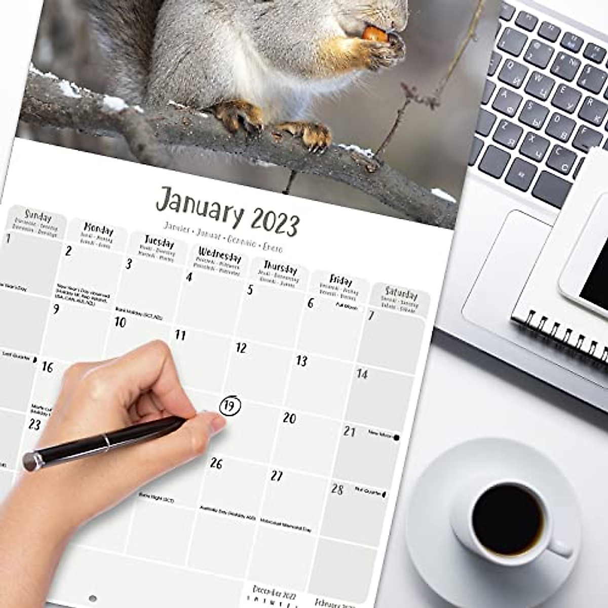 Squirrel Calendar - Cute Animal Calendar - Calendars 2022 - 2023 Wall Calendars - Animal Calendar - Squirrels 16 Month Wall Calendar by Avonside