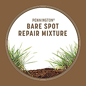 Pennington Bare Spot Repair Penkoted Grass Seed Mixture Central 1 lb