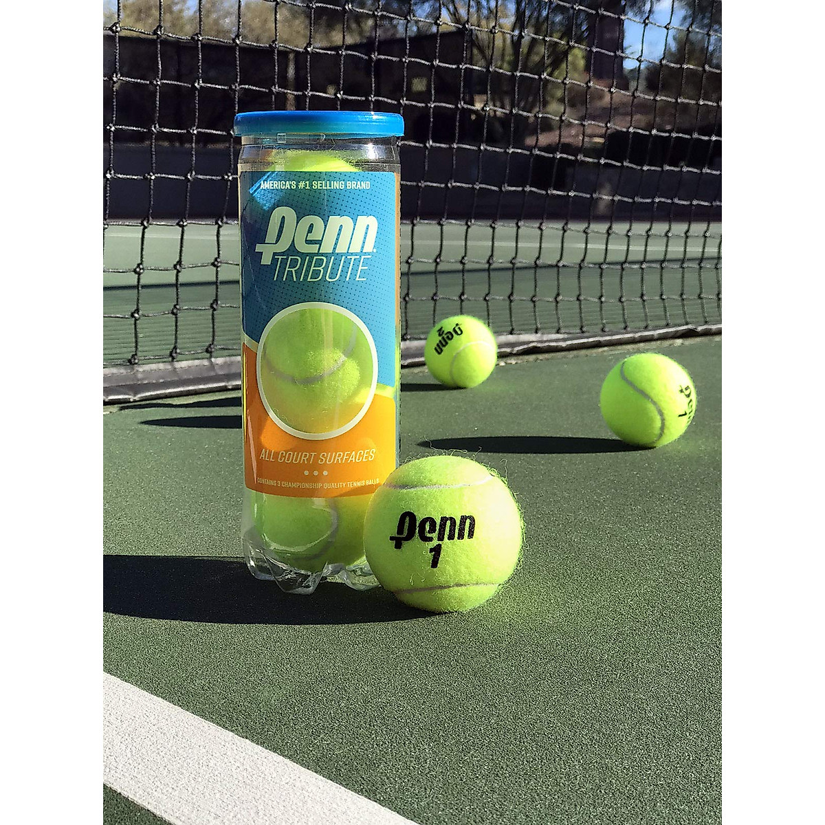 Penn Tribute - All Courts Felt Pressurized Tennis Ball, 1 Can, 3 Balls