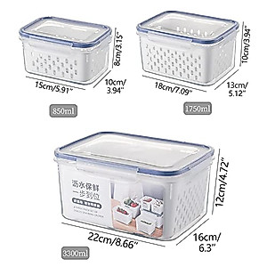 Yiser Double Layer Draining Basket Fresh Keeping Box Kitchen Supplies Sealed Box Plastic Fresh Keeping Box Refrigerator Fruit Storage Sticky Rice Basket (D, One Size)