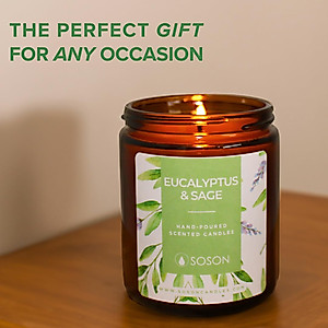 Simply Soson 9 oz Eucalyptus and Sage Scented Candle for Home - Amber Glass Jar - 50 Hour Long Lasting Candles - Jar Candles are The Best Gifts for Birthday, Valentine, Anniversary, Dinner, Parties