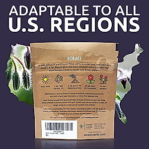 Sweet Yards Seed Co. Borage Seeds – Extra Large Packet – Over 1,200 Open Pollinated Non-GMO Wildflower Seeds – Borago officianalis